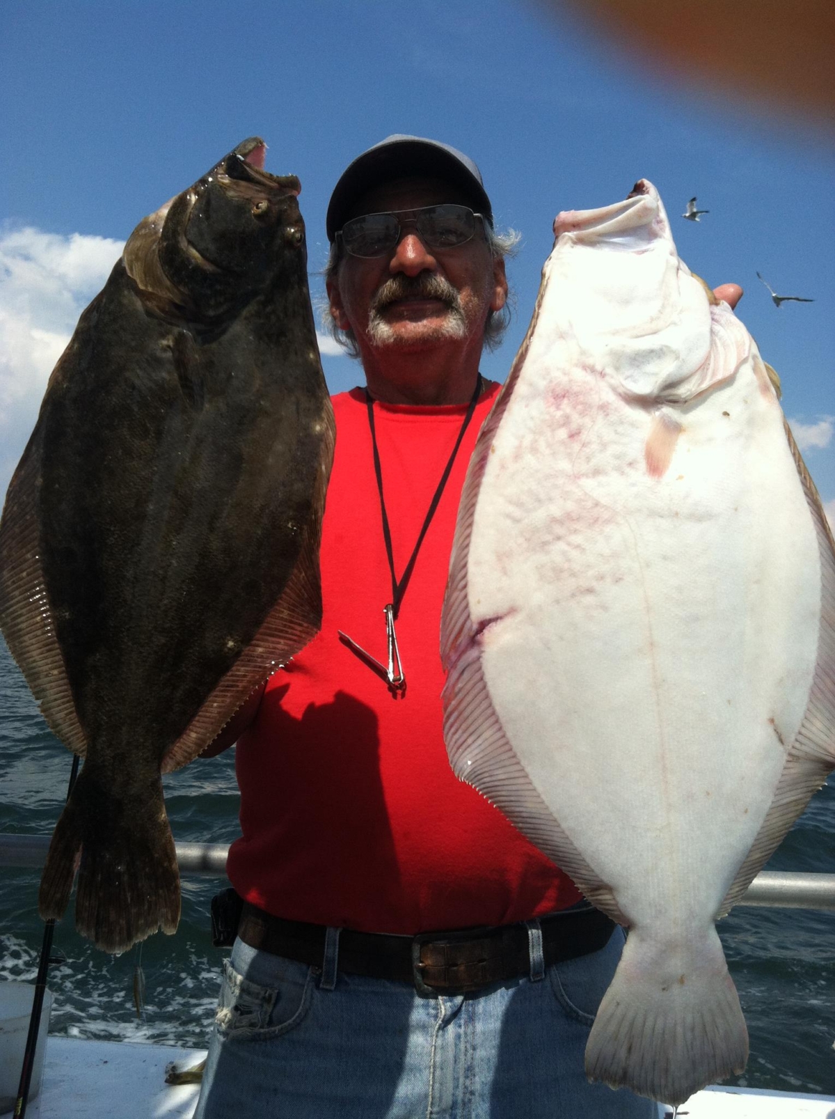 Home - ROSIE FISHING