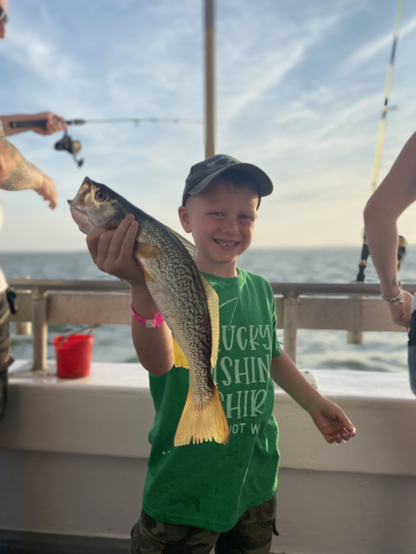 Home - ROSIE FISHING