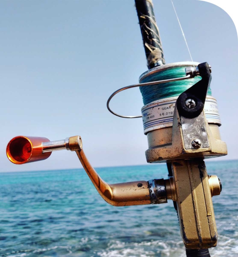 Home - ROSIE FISHING
